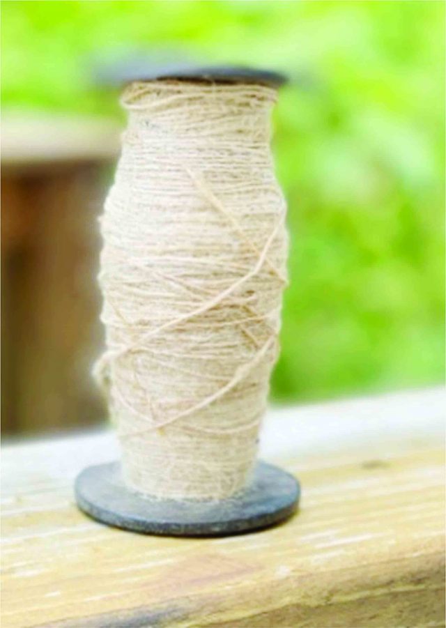 Grevia optiva: Underutilised Plant Fiber Resource for Textiles in U ...