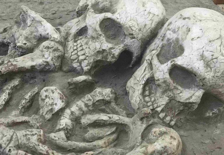 ‘India’s Harappan Cities from the Indus Valley Civilization’ | Garhwal Post