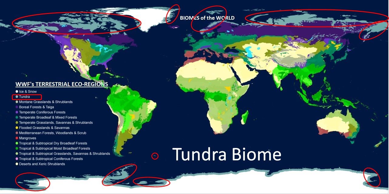 ‘Polar Ice & Tundra Biomes : Ground Zero of Climate Change’ | Garhwal Post